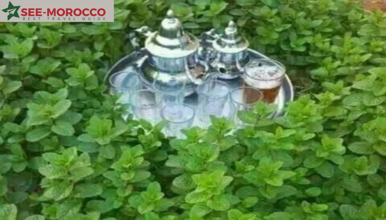 Moroccan Tea: Authentic Mint Brew & Traditions