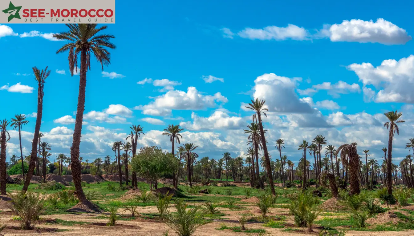 Why Is Marrakesh Important? A Guide to Its Historical and Cultural Role