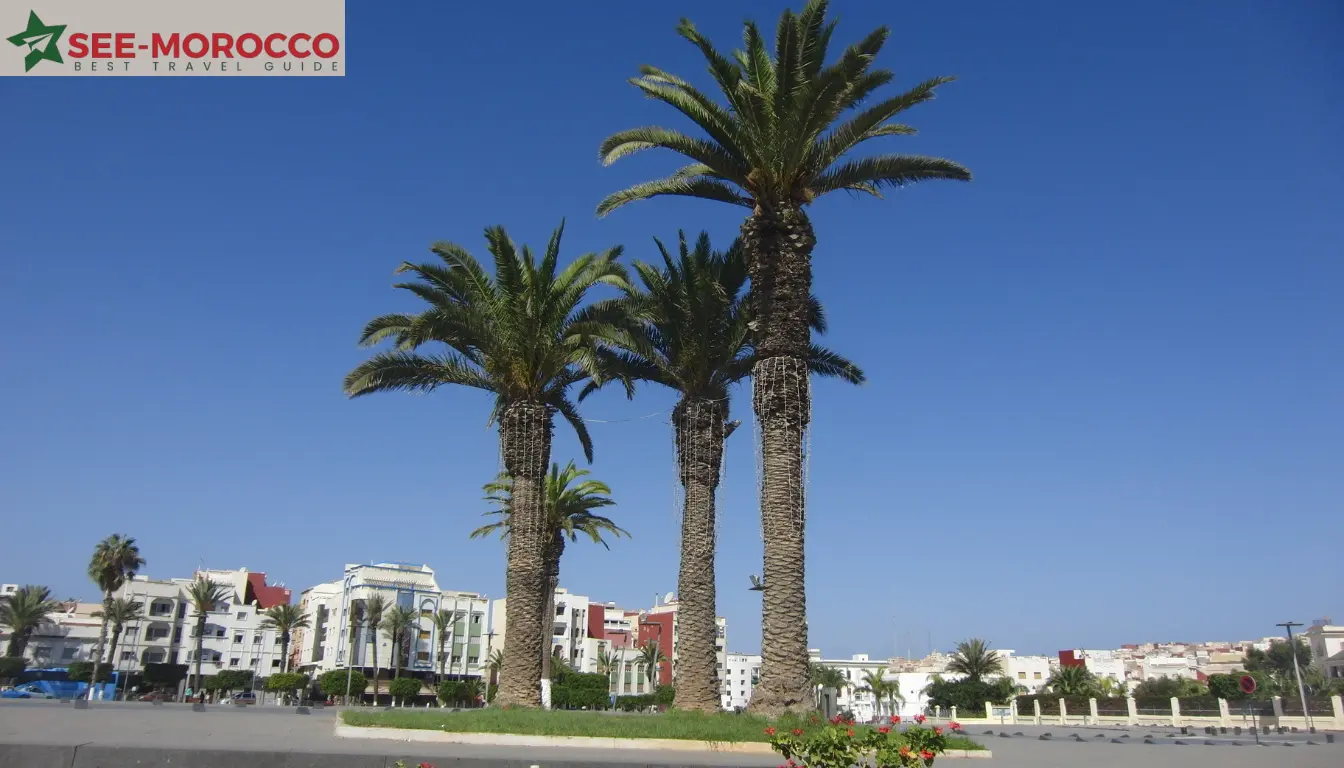 Al Hoceima Revealed: Top Spots and Hidden Secrets of Morocco’s Coastal ...